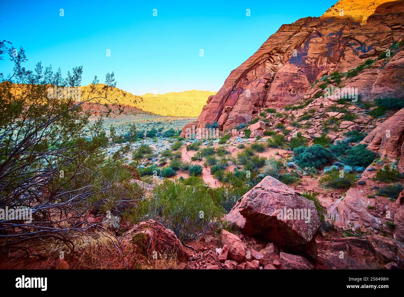 Red Rock Formations and Desert Vegetation in Snow Canyon Utah Eye-Level ...