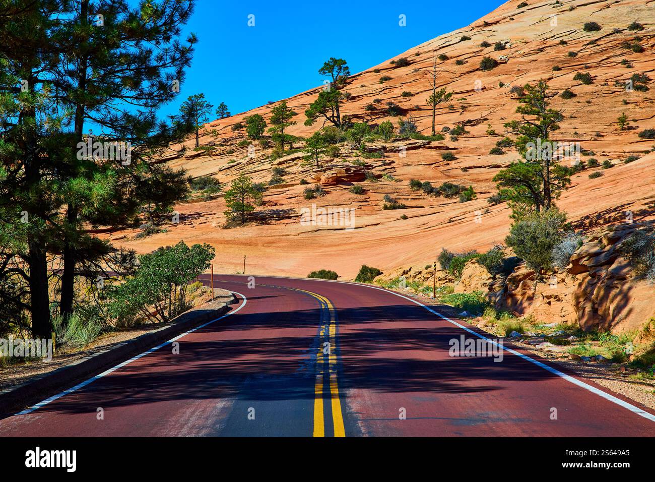 Scenic Desert Road Through Zion National Park Eye Level View Stock ...
