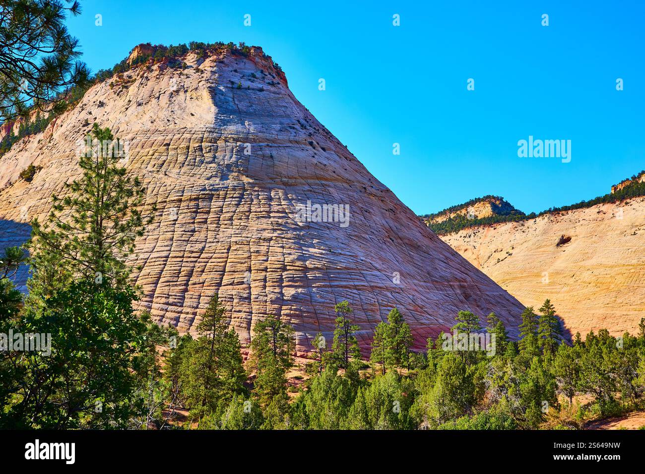 Checkerboard Mesa Zion National Park Scenic Daytime View Stock Photo ...