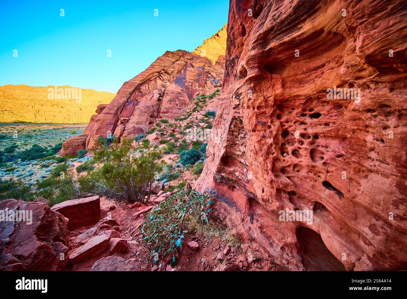 Red Rock Canyon Textures at Golden Hour in Snow Canyon Eye-Level View ...