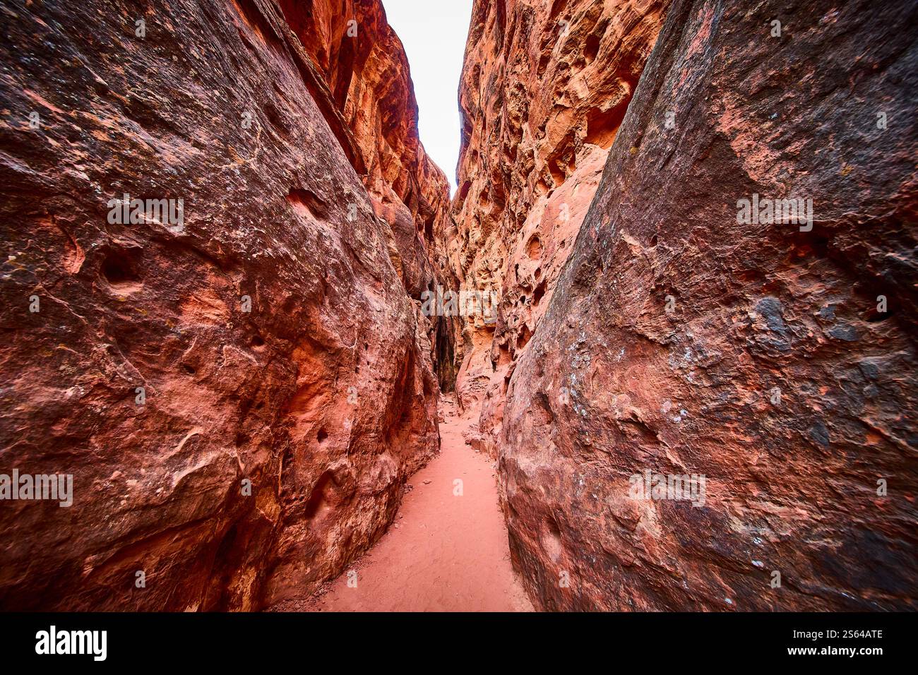 Desert Canyon Adventure Pathway Eye-Level View Stock Photo - Alamy