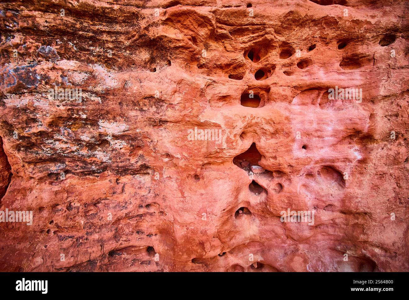 Textured Red Sandstone Surface in Utah Desert Close-Up View Stock Photo ...
