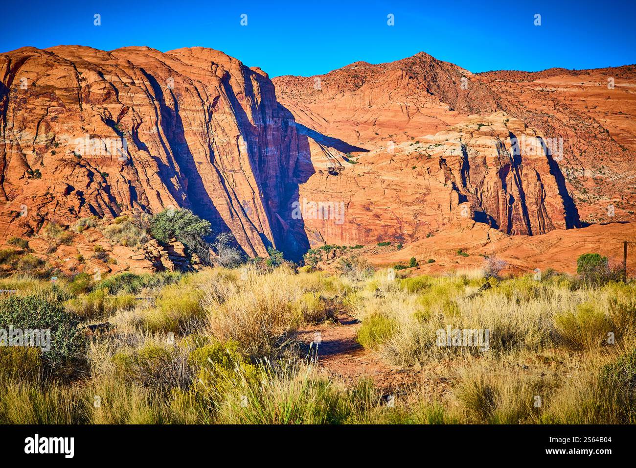Red Rock Formations and Desert Vegetation in Snow Canyon Utah Eye Level ...