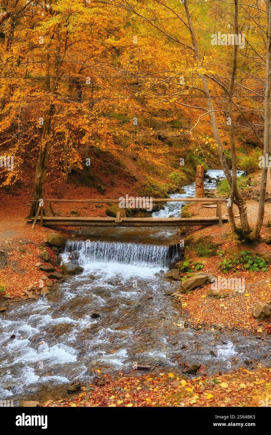 A narrow mountain river flows swiftly through a captivating autumn ...