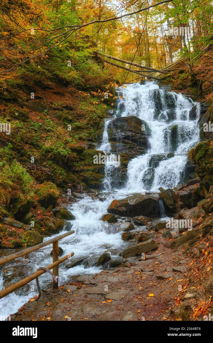 Immerse yourself in the captivating beauty of Shipit Waterfall during ...