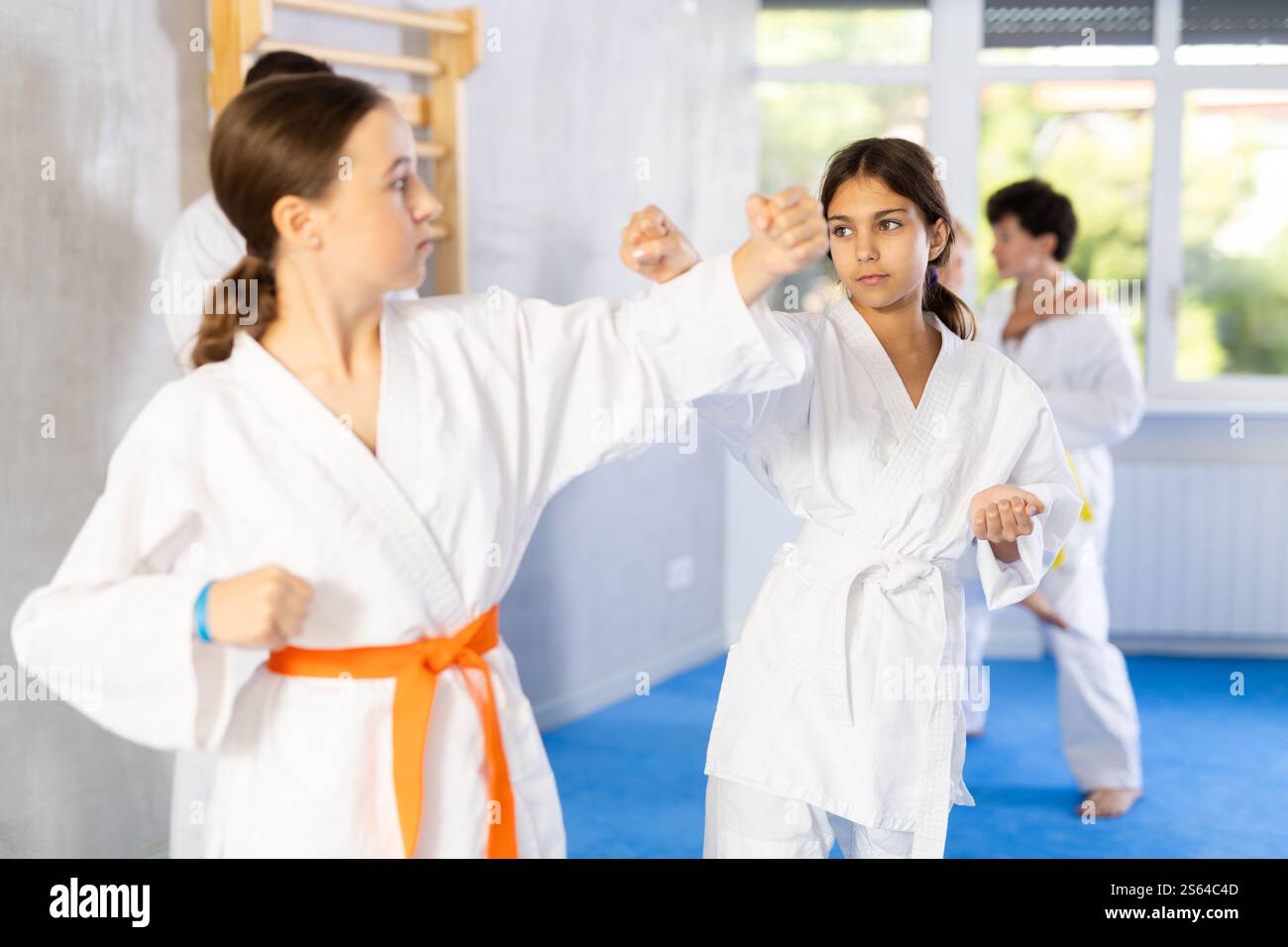 Two girls training karate techniques in studio Stock Photo - Alamy