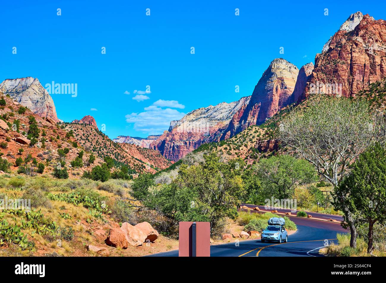 Zion National Park Scenic Drive with Adventure Vehicle Eye-Level View ...