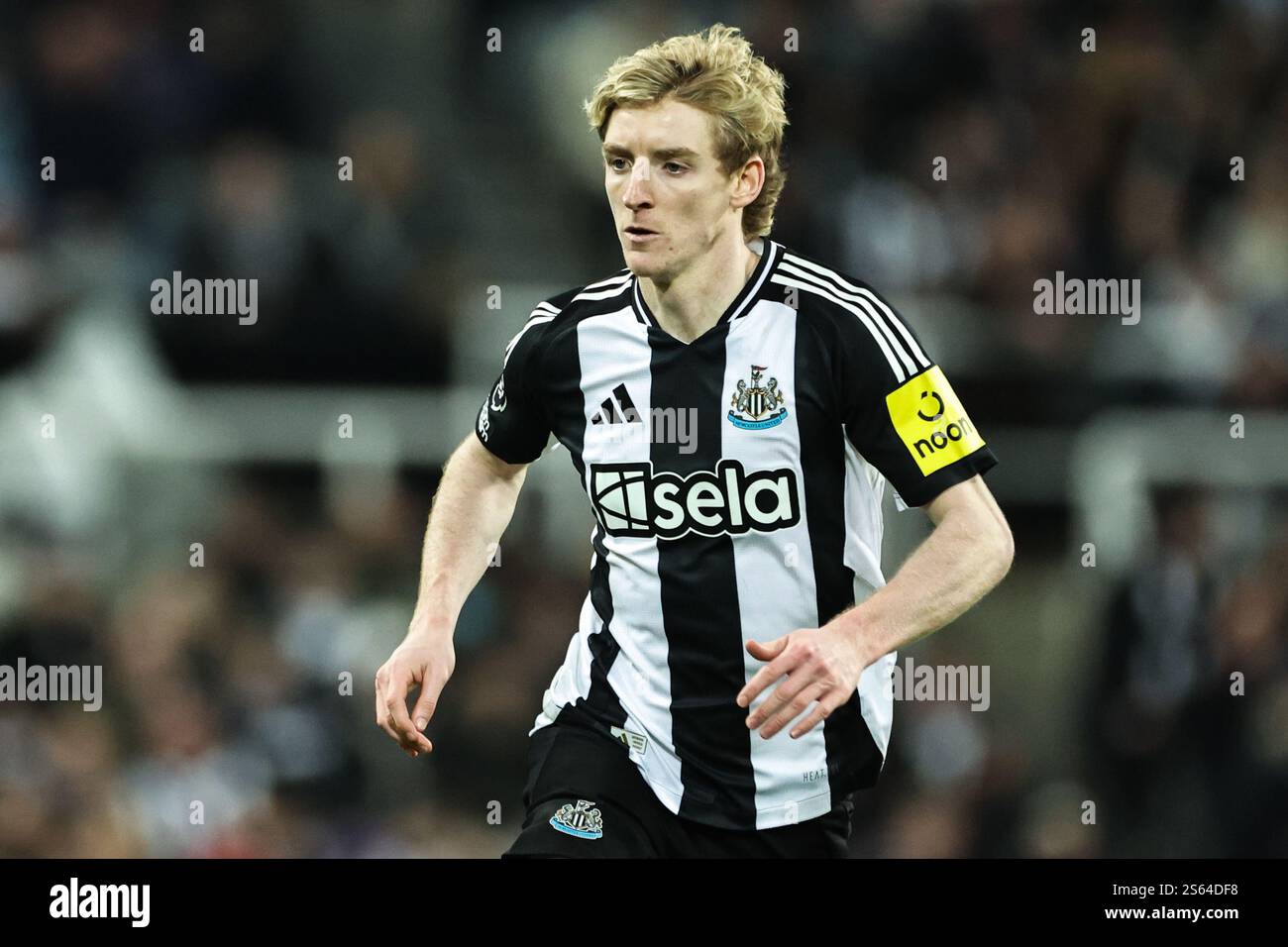 Anthony Gordon of Newcastle United during the Premier League match ...