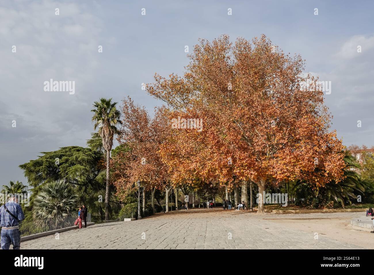 Parque de la Montaña is located near the Royal Palace and offers a peaceful retreat with lush ...