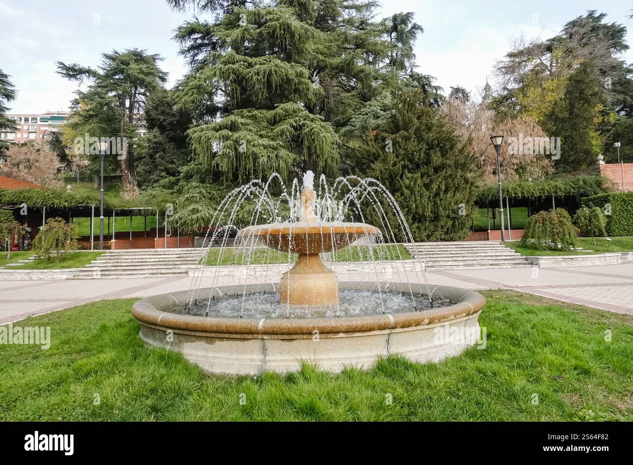 Rosaleda del Parque del Oeste in Madrid: A Beautiful Rose Garden with a ...