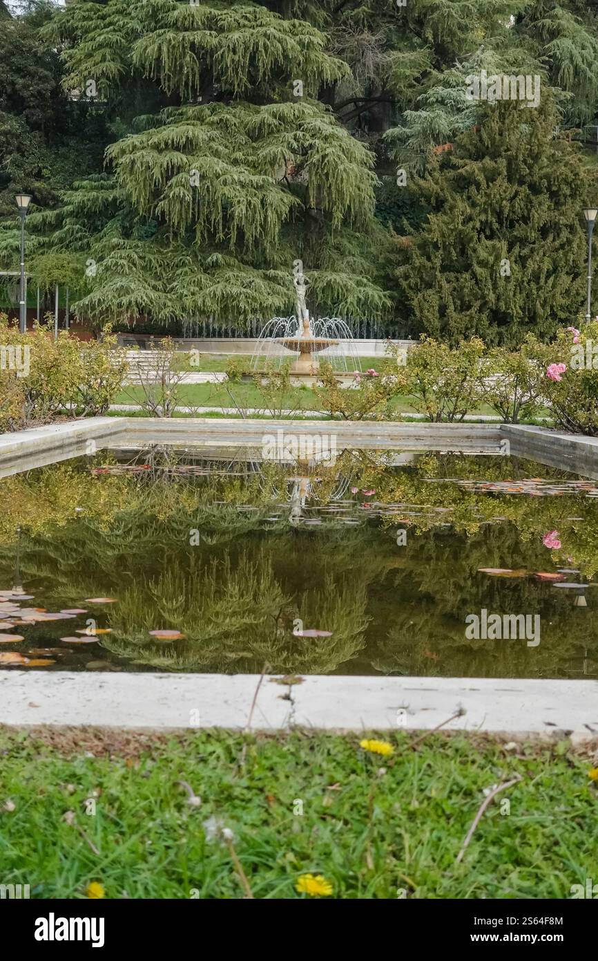 Rosaleda del Parque del Oeste in Madrid: A Beautiful Rose Garden with a ...