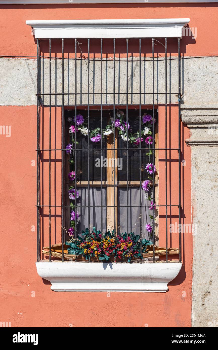 Antigua Guatemala, Sacatepequez, Guatemala. Flowers decorating a barred ...