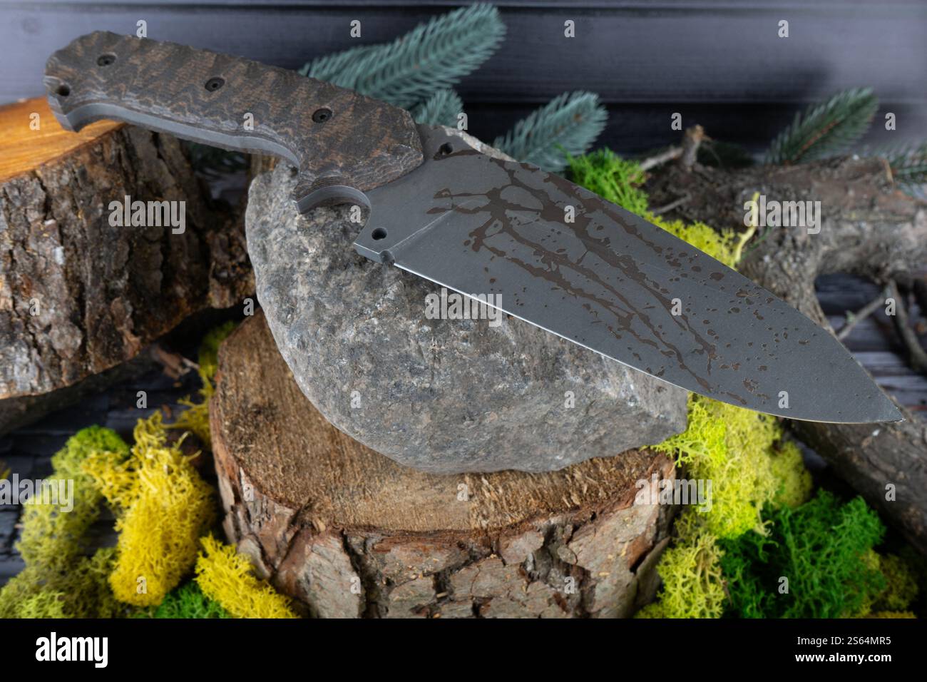 Tactical military knife lie on nature background. Stone, moss, trunk ...