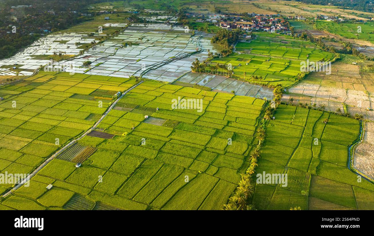 Rice Terrace, Ubud, Bali, Indonesia. Top view Stock Photo - Alamy