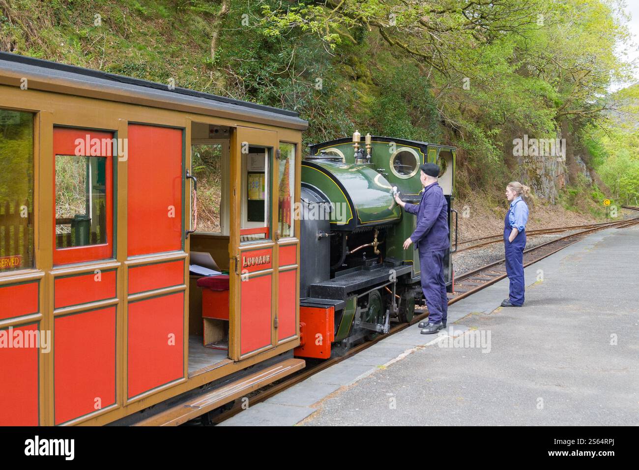A steam train on the Talyllyn Railway Stock Photo - Alamy