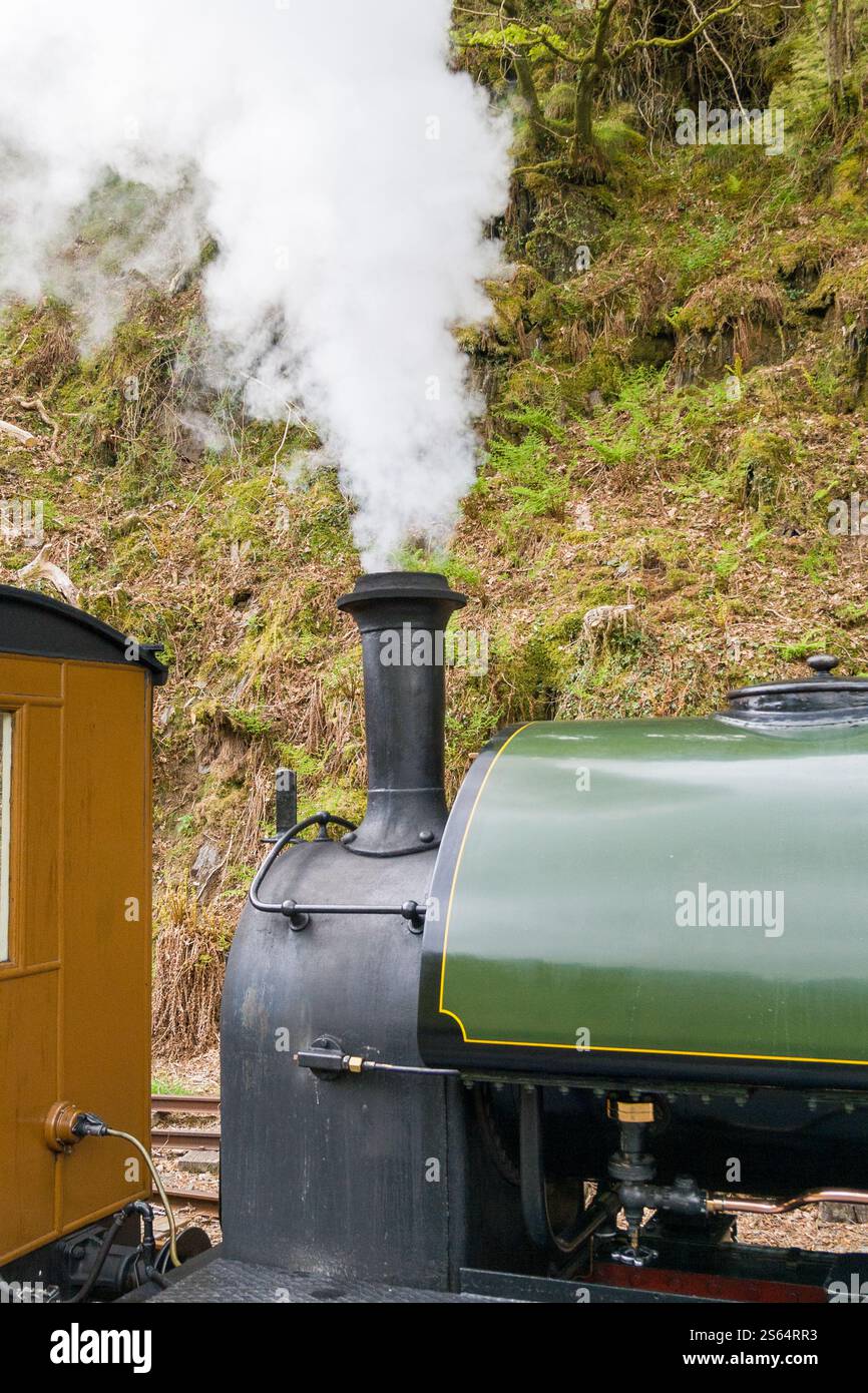 A steam train on the Talyllyn Railway Stock Photo - Alamy