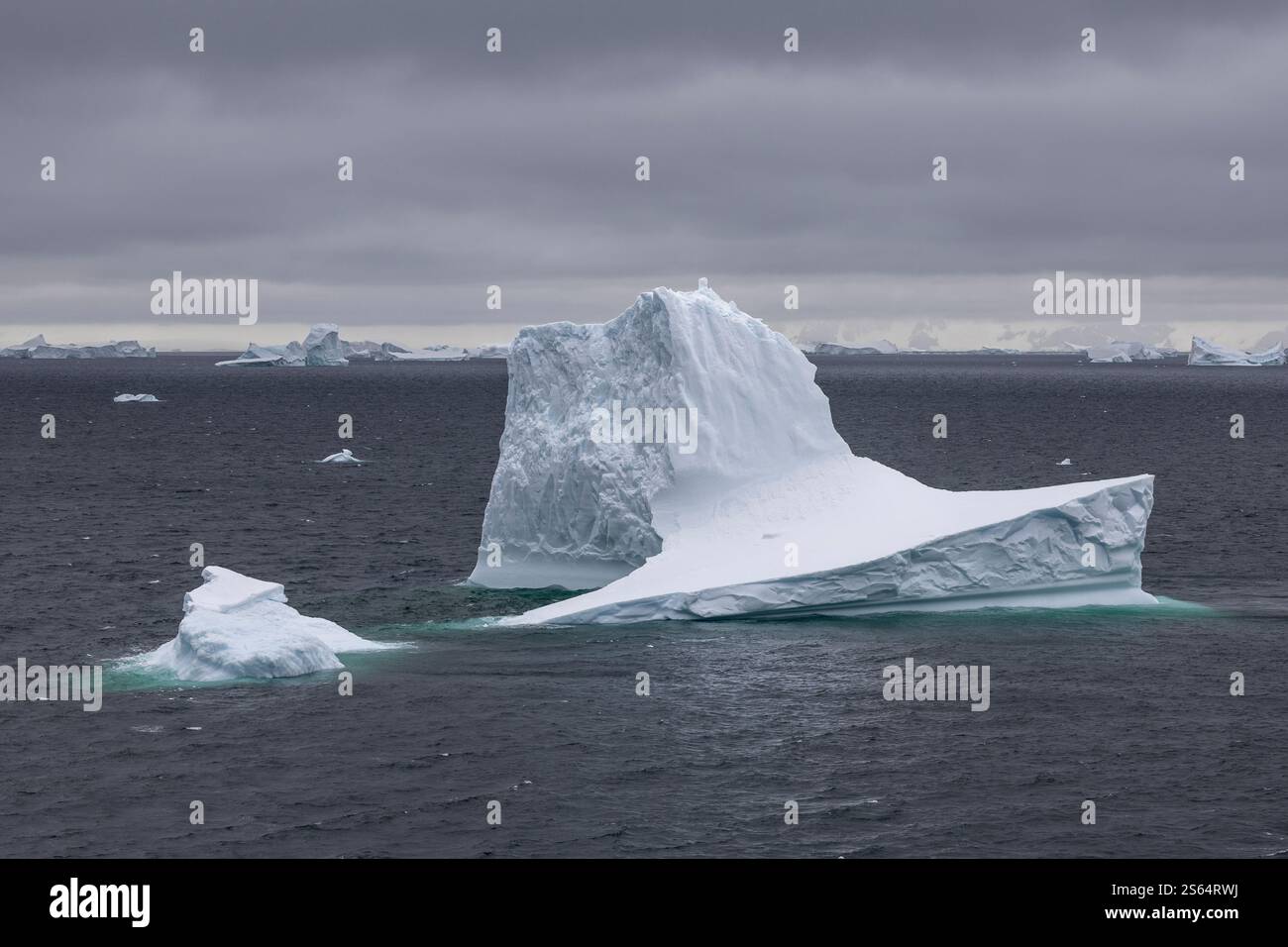 Large icebergs floating in cold dark waters, Antarctica Stock Photo - Alamy