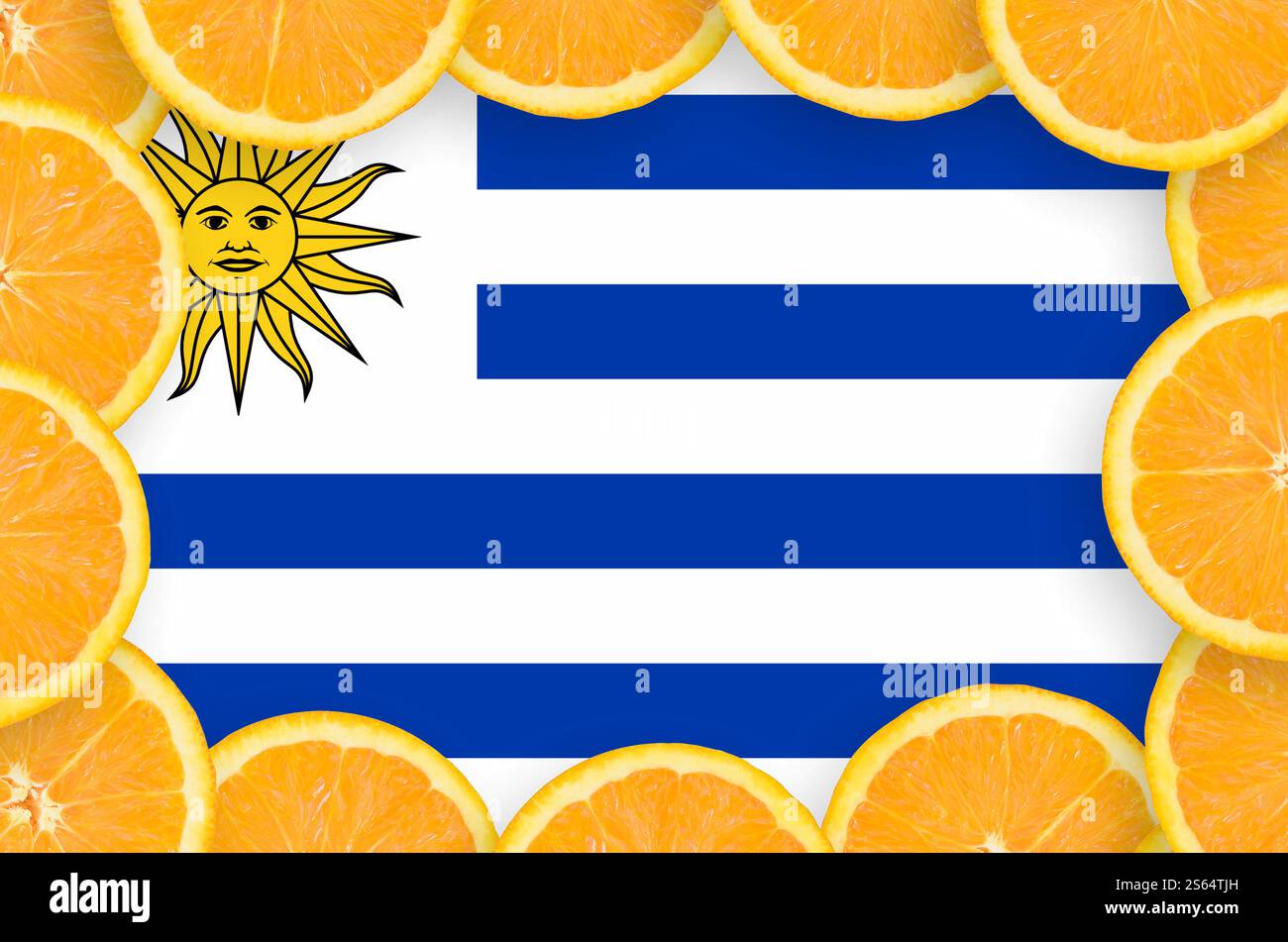 Uruguay flag in frame of orange citrus fruit slices. Concept of growing ...