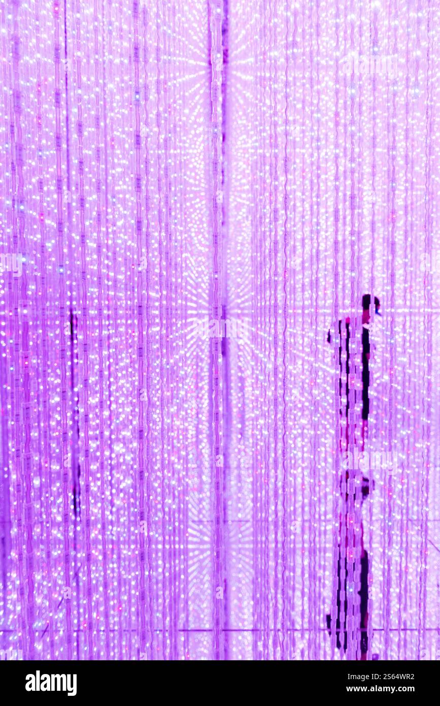 teamLab Borderless infinite crystal world digital artwork display at ...