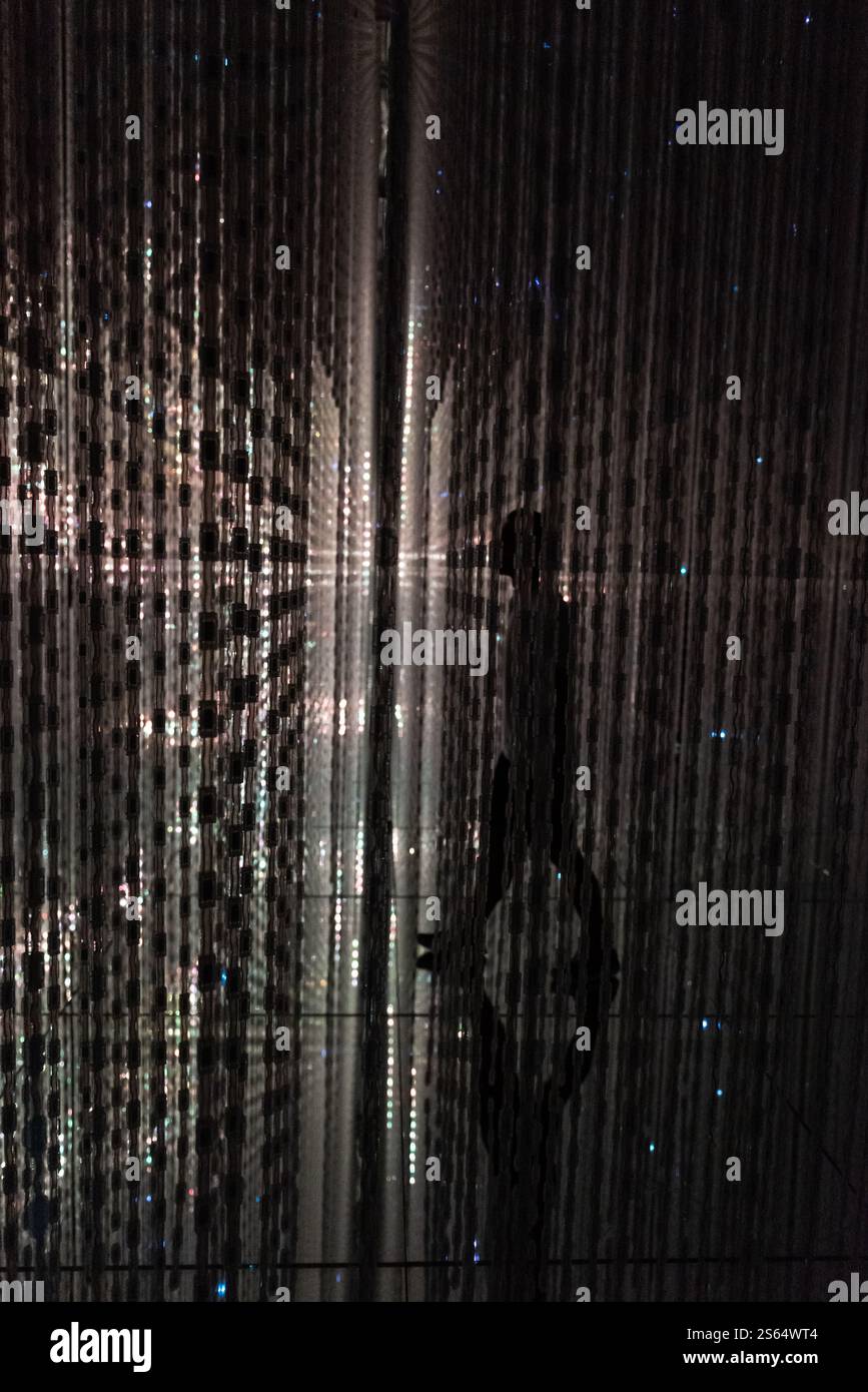 teamLab Borderless infinite crystal world digital artwork display at ...