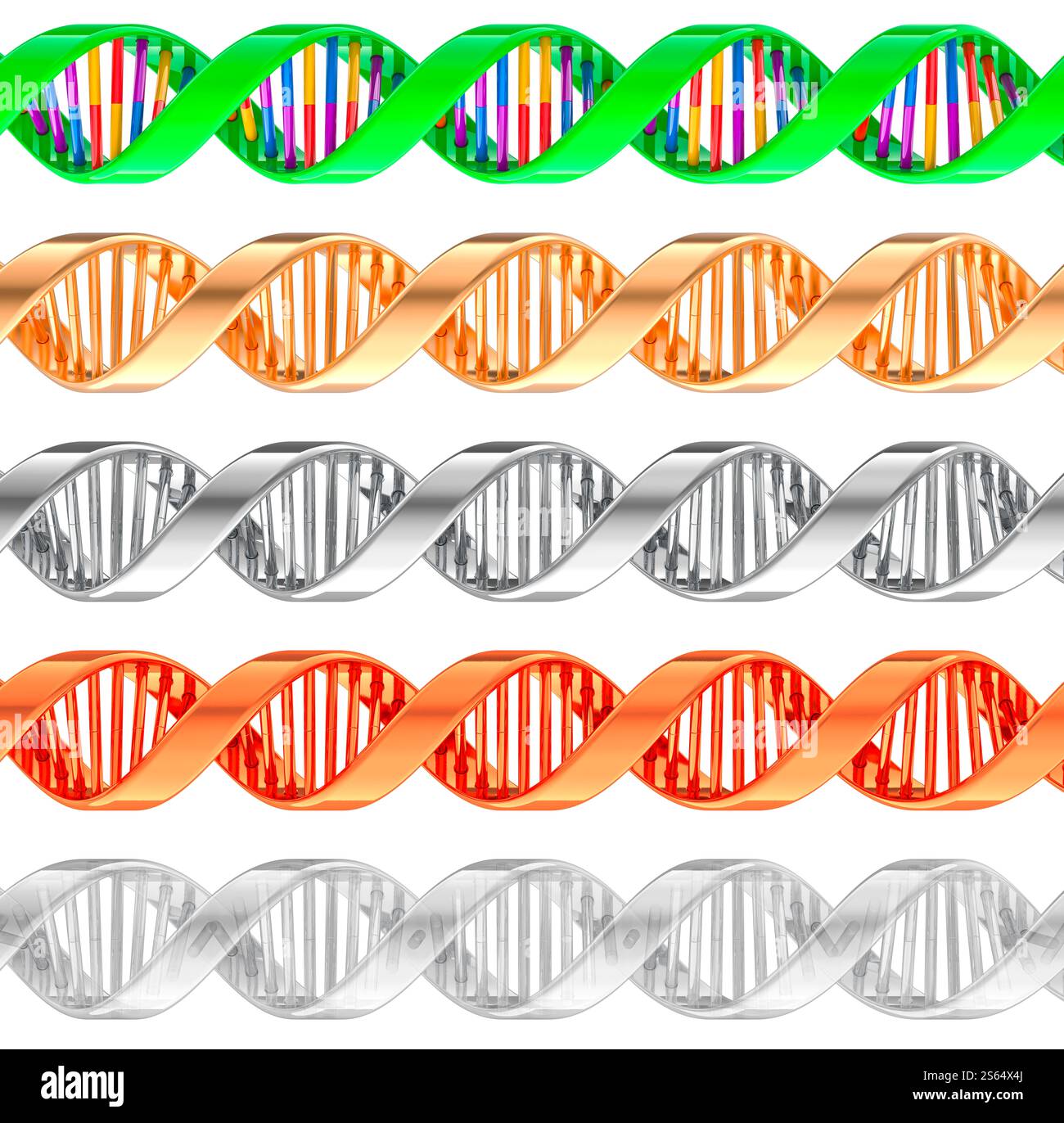 DNA spirals, set of different colors. 3D rendering isolated on white ...