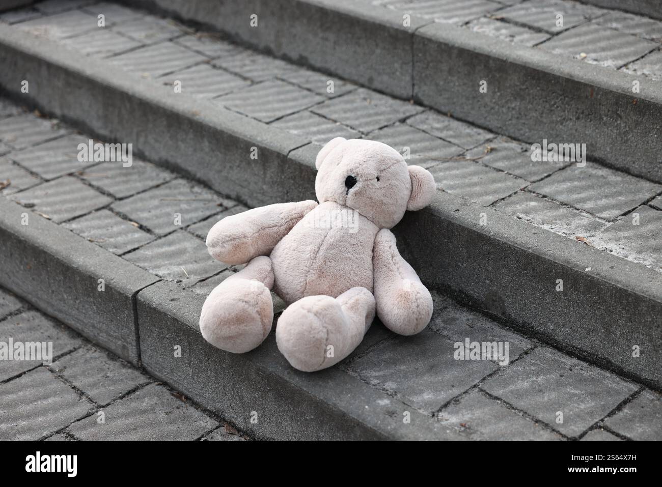 Lost white teddy bear on stairs outdoors Stock Photo - Alamy