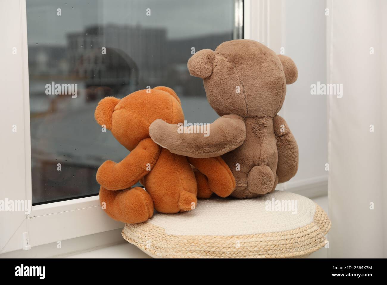 Teddy bears on window sill at home, back view Stock Photo - Alamy