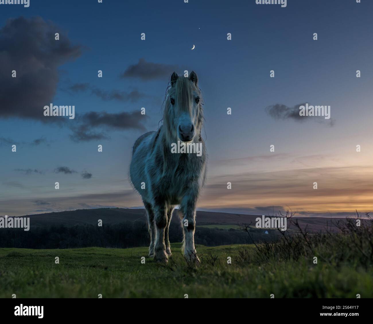 The kingdom of venus hi-res stock photography and images - Alamy