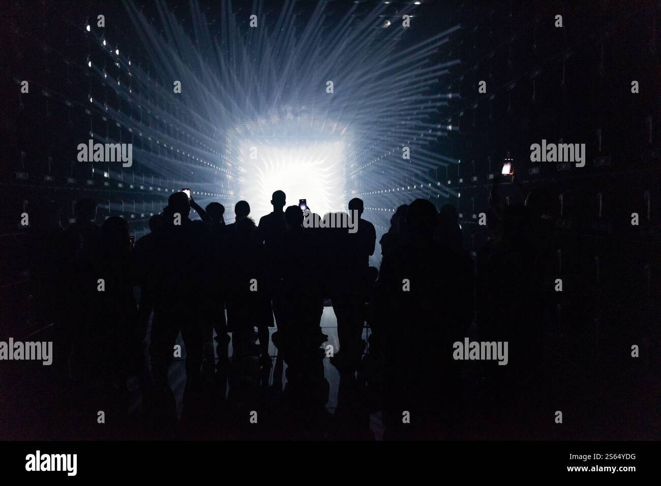 Visitors teamLab Borderless immersive light sculpture digital artwork ...