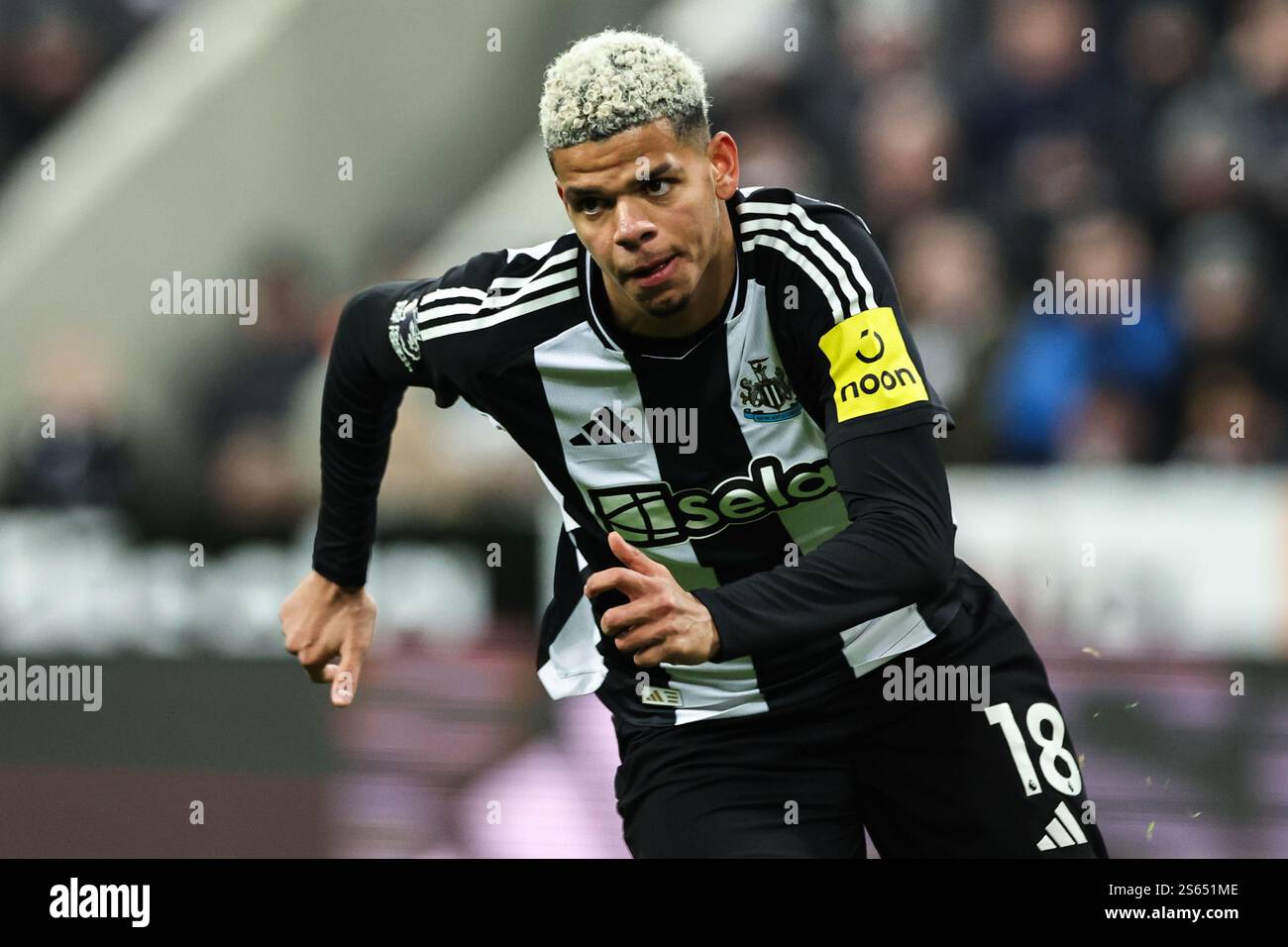 Newcastle, UK. 15th Jan, 2025. William Osula of Newcastle United during the Premier League match ...