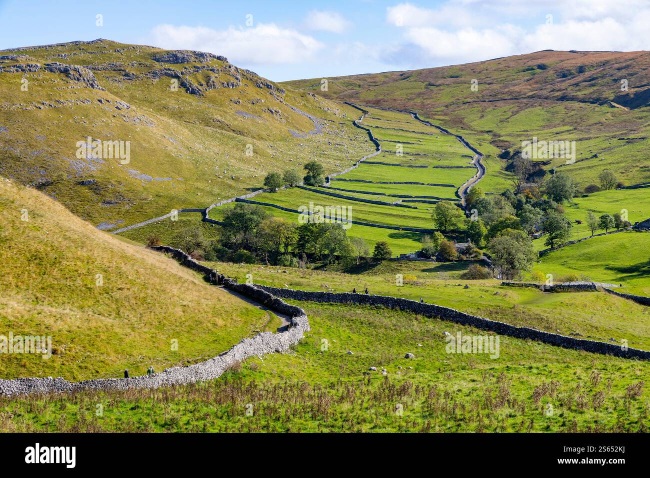 Yorkshire Dales England, green landscape around Malham in the Yorkshire ...