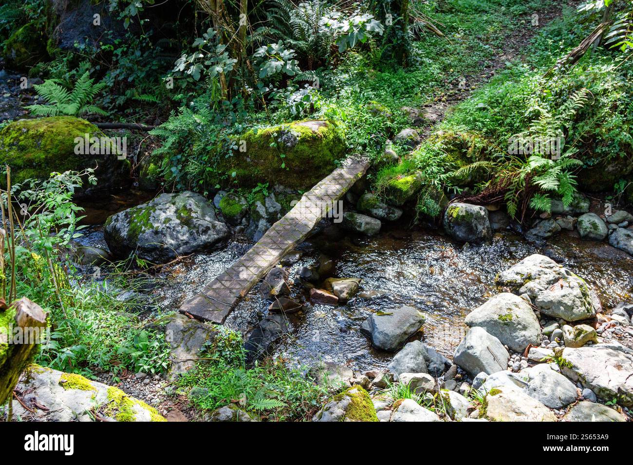Bridge over ravine hi-res stock photography and images - Alamy
