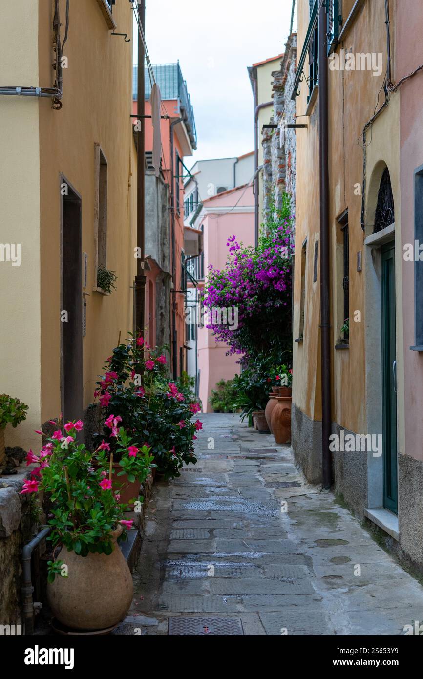 Beautiful narrow colorful street in Portovenere Stock Photo - Alamy