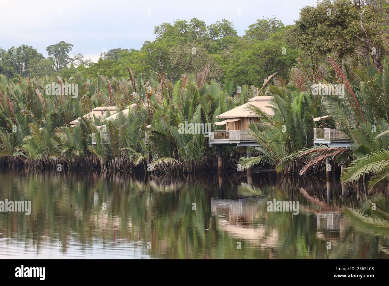 huts built over water nestled in tropical rain forest along a river ...