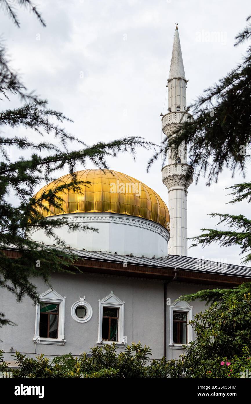 travel to Georgia - Orta Djame mosque in Batumi city on overcast autumn ...