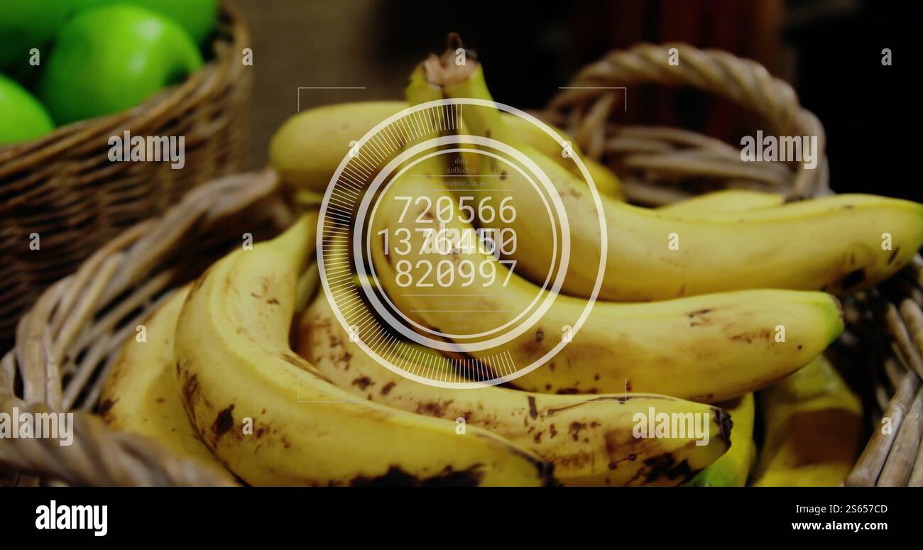 Image of data processing on circle over basket with bananas Stock Photo ...
