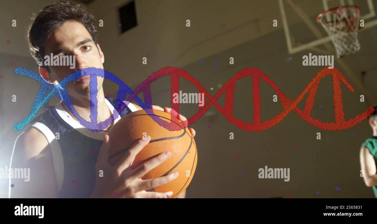 Holding basketball, athlete with DNA strand image over background Stock ...