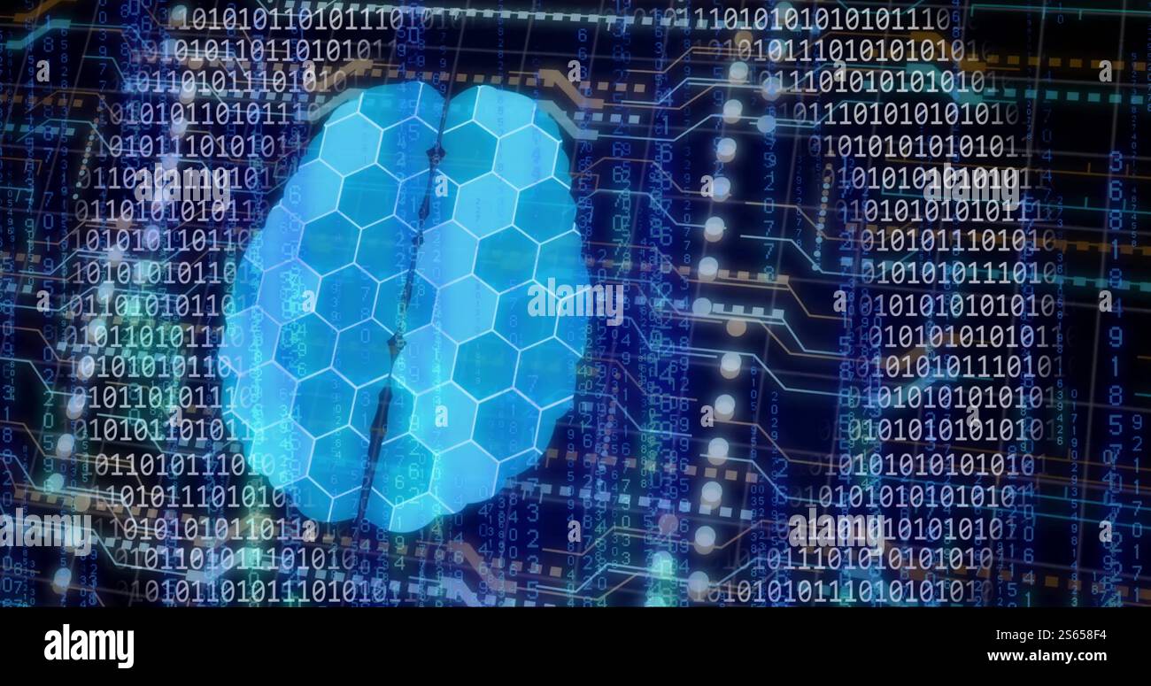 Image of digital brain with connections over binary coding Stock Photo - Alamy