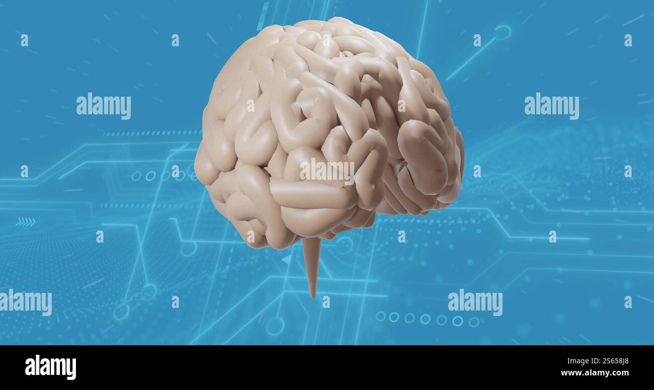 Image of digital brain spinning over connections Stock Photo - Alamy