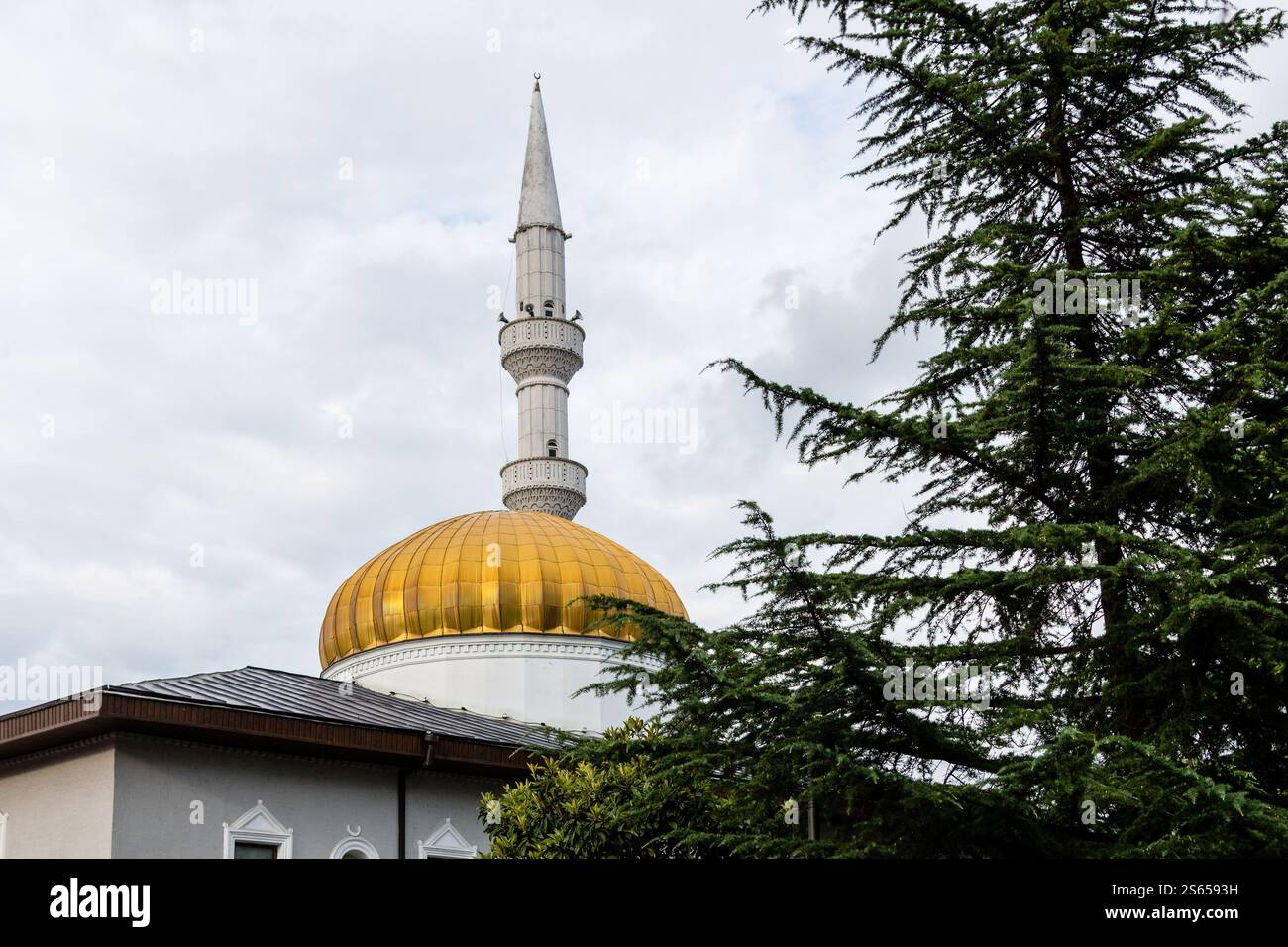 travel to Georgia - dome and minaret of Orta Jame mosque in Batumi city ...