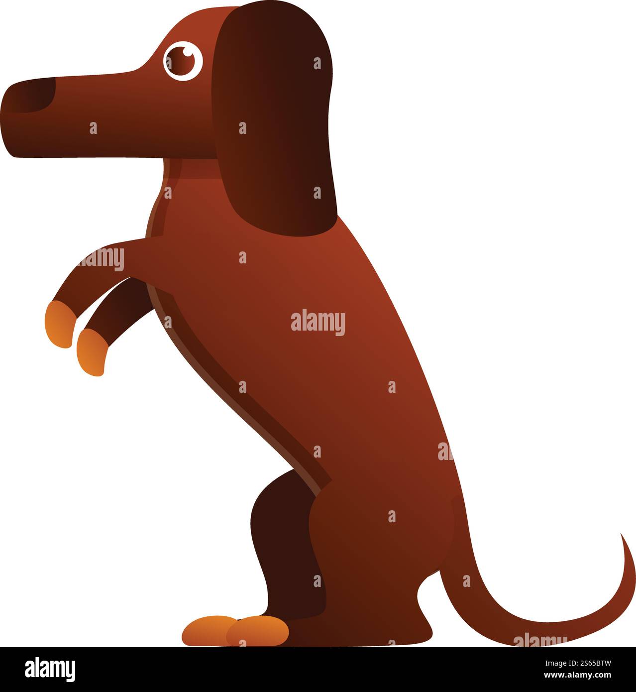 Breed dachshund icon. Cartoon of breed dachshund vector icon for web design isolated on white ...