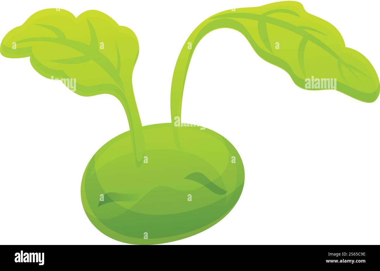 Growing cabbage icon. Cartoon of growing cabbage vector icon for web ...