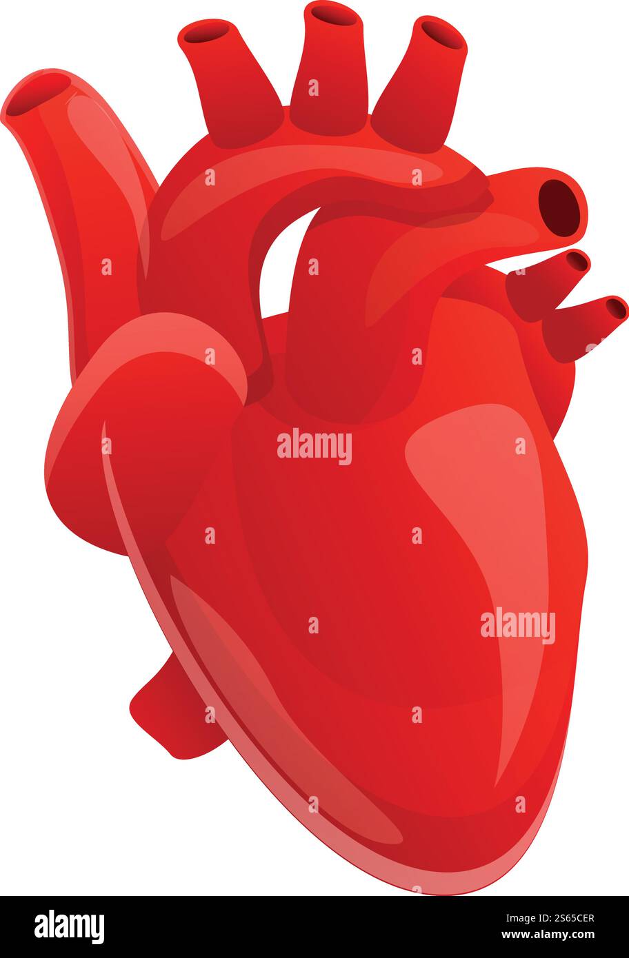Human heart icon. Cartoon of human heart vector icon for web design ...