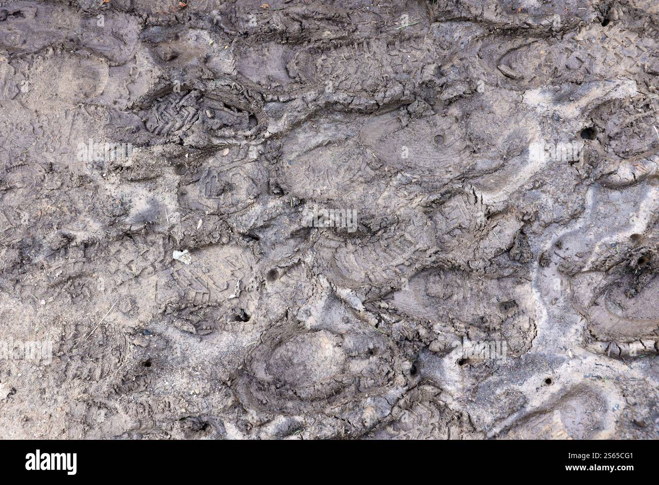 Foot mark on the jungle trail. Shoe prints on wet gravel or mud in ...