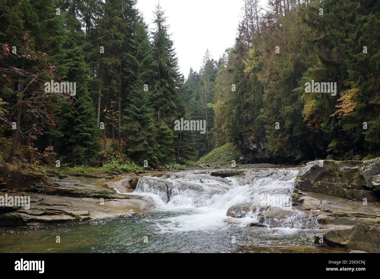 A bright blue river flowing through forest in a hidden park along the ...