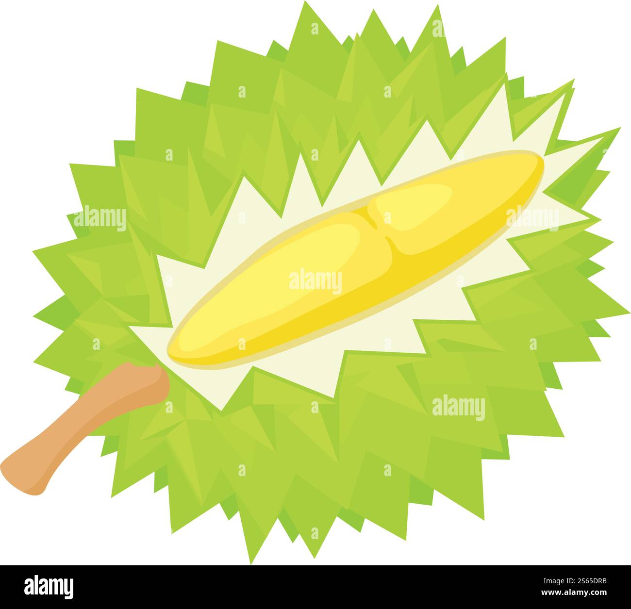 Durian exotic fruit icon. Isometric of durian exotic fruit vector icon ...