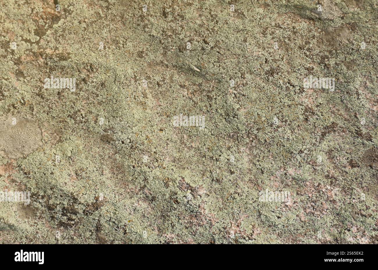 Closeup of the rough stone texture of a big rock surface for natural ...