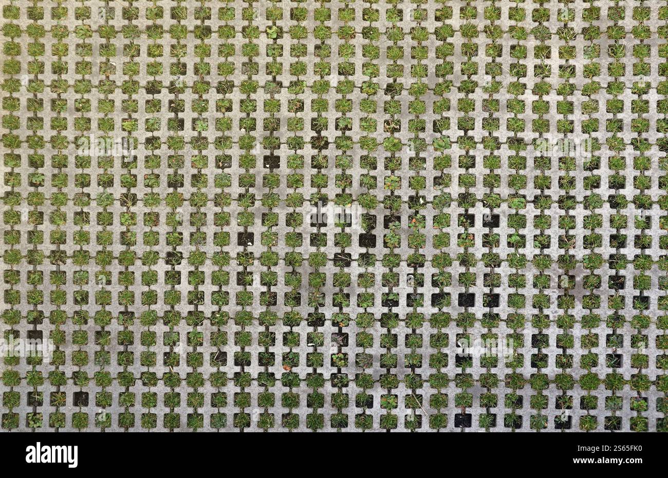 Geometric background of eco floor bricks and green grass. Eco parking ...