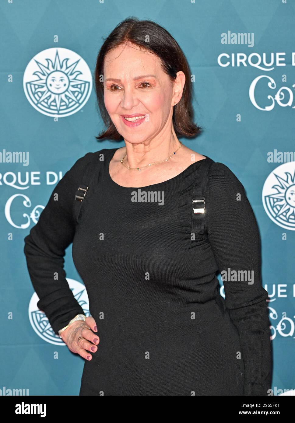 London, UK. 15th Jan, 2025. Dame Arlene Phillips attends the UK ...