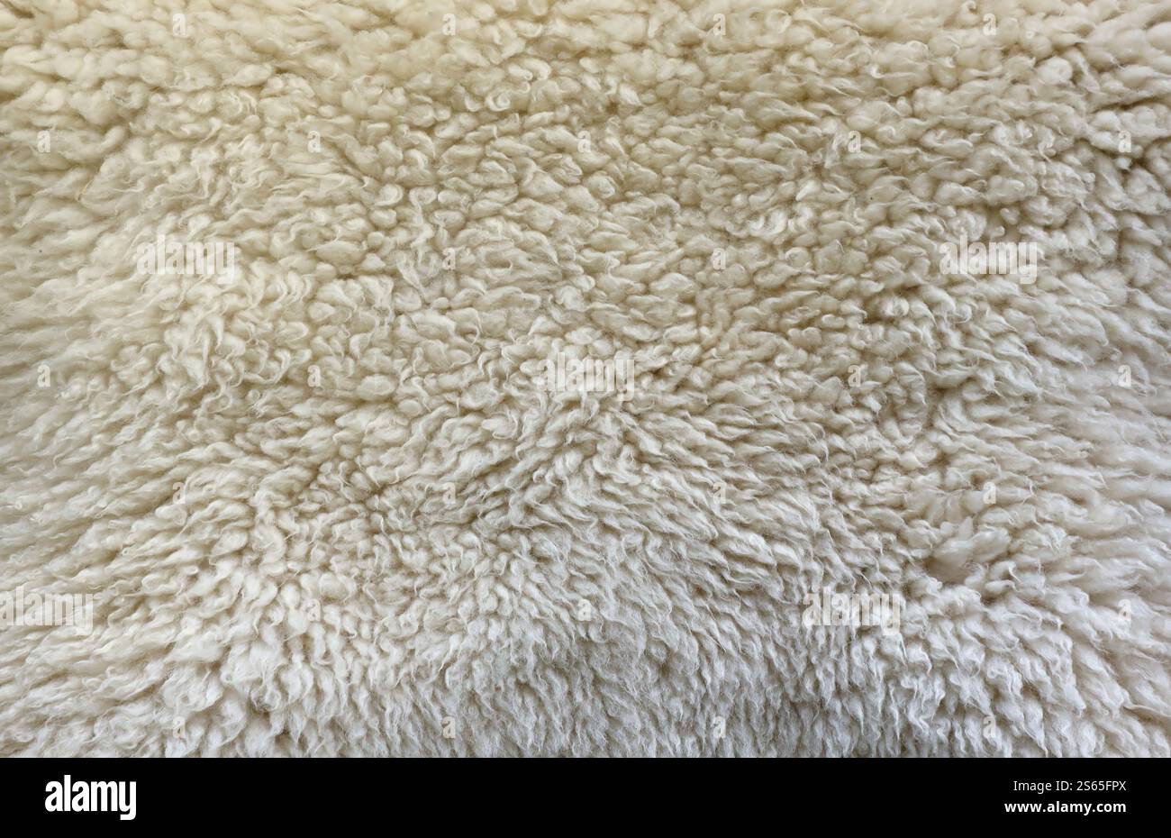 Sheep fur texture, white or gray animal patterns for nature background ...